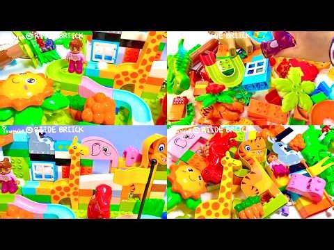 Relaxing Marble Run Race Compilation for Sleep & Focus | Building Blocks 🦖
