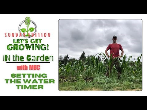 Setting Your Water Timer IN THE GARDEN | the Let's Get Growing! Show