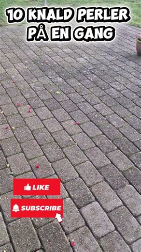 10 Knald Perler På En Gang😮#boom #happynewyear #sametime #irl