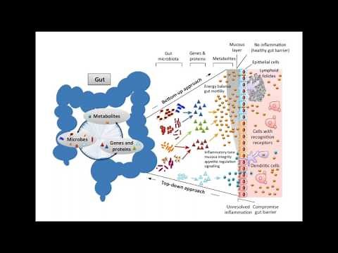 Implementing The GI MAP Stool Testing in Clinical Practice