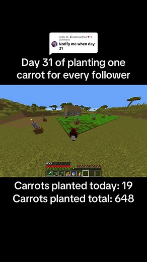 Planting Carrots in Minecraft: Day 31 Progress Update