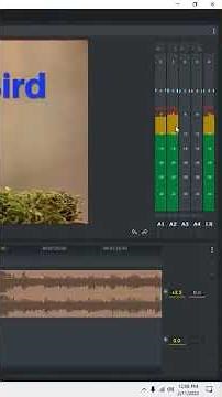 Lightworks Tutorial: How to Increase or Decrease Volume in Lightworks