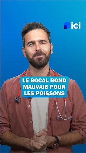 Eau, environnement, stress : prendre soin de vos poissons #Poissons #Aquarium #SantéAnimale