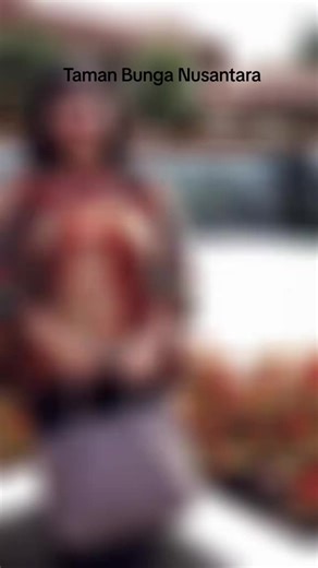 Sunny The Explorer (@sunny.the.explorer)’s videos with suara asli - Sunny The Explorer