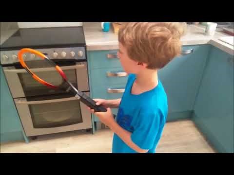 Fly Swatter...The Executioner. Any good? How to use it?