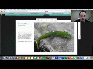 Evolution Lab Update Video