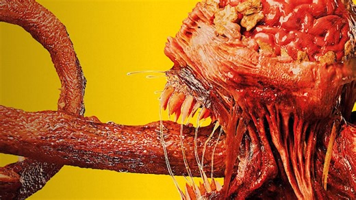 Key details from Resident Alien Season 4 first look revealed