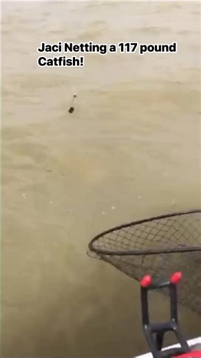 6.1K views · 104 reactions | When precision meets teamwork, records are redefined. Mike’s fight. Jaci’s net. One unforgettable 117 lb blue. #catchthefever #fishingaddict #anglerlife #bigcatch #tripledigit SouthernCats Guide Service | Catch The Fever | Facebook