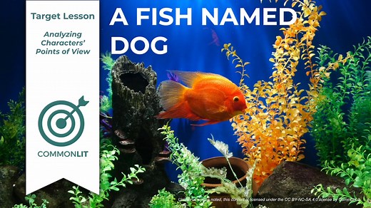Target Lesson: A Fish Named Dog