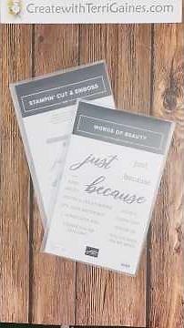 New Stampin' Up!' Packaging for Stamp Sets & Dies! Storage Ideas & Tips using 3-Ring Binders!