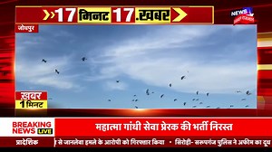 406K views · 10K reactions | पंखों वाले पावणों की धूम, स्वर्णनगरी में सैलानियों का तांता, अजमेल में भव्य कलश यात्रा का आयोजन #Rajasthan #Ajmer #Tourism | News18 Rajasthan | Facebook