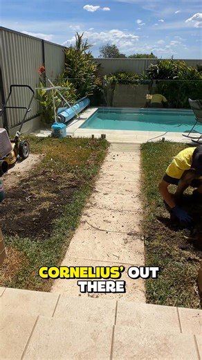 Mohammad is the most common first name. Wang is the most common last name 🤓 #christmas #lawncare #australia #fyp #trending | Dee’s Lawn & Landscaping