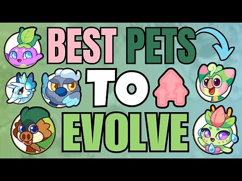 The BEST Pets to Evolve in Prodigy! Part 6 | Prodigy Math Game