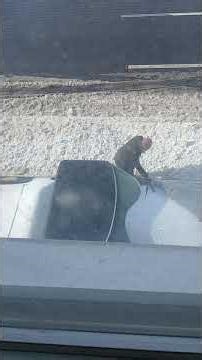 Shoveling to freed the car or truck. ( A after snow storm task. Also taking snow from off the car)