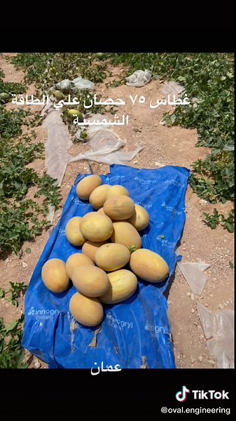 غطاس 75 حصان يعمل بالطاقة الشمسية