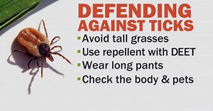 Dangerous ticks are on the rise. Here's what you need to know.