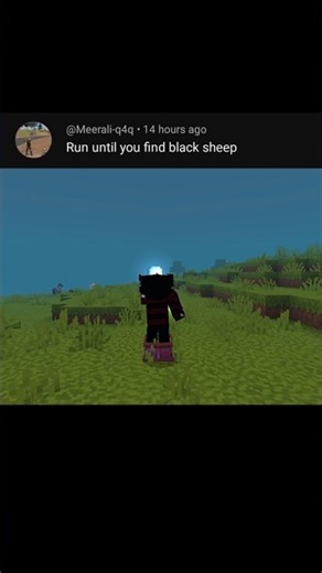 Running Until I Find Black Sheep