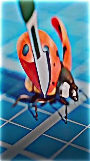 Understanding Ladybug Anatomy and Care