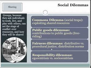 Group Dynamics 13a Conflict's Causes