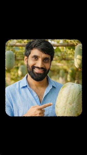 వైద్య కూష్మాండం అని ఎందుకంటారో తెలుసా? 😱 #learnwithrk #facts #pumpkin #shortsfeed