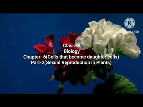 Class-8#Biology#Chapter-6#Part-2(Sexual Reproduction in Plants)