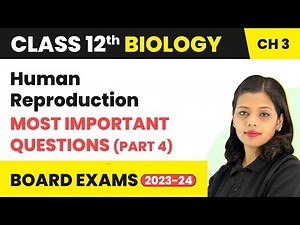 Human Reproduction - Most Important Questions (Part 4) | Class 12 Biology Chapter 2 | CBSE