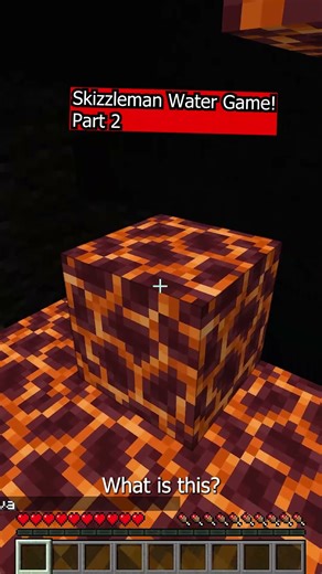 Faster Then The Speed of Minecraft