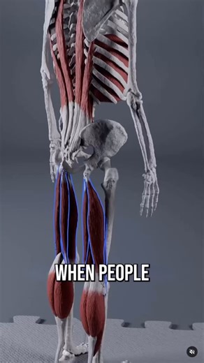 1K views · 3.7K reactions | FIX YOUR HIP HINGE FOR LESS LOW BACK PAIN & MORE GLUTE ACTIVATION: Mastering a hip hinge is key if you want to grow & strengthen your glutes and hamstrings. The problem is, many people can’t do it properly without their low back taking over for this specific reason. Try this 3 step progression that should get you feeling great moving through a hinge by the end of it  | Conor Harris | Facebook