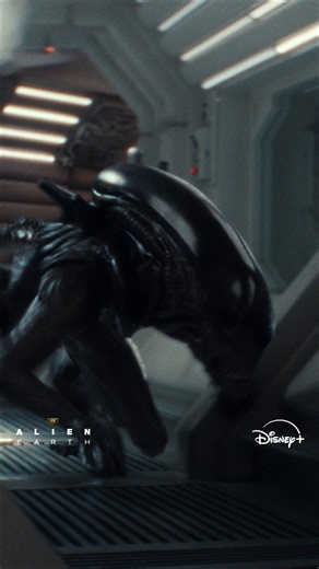 12K views · 384 reactions | Critics are loving FX's Alien: Earth. Stream the first 4 episodes now on Disney+. | Disney+ | Facebook