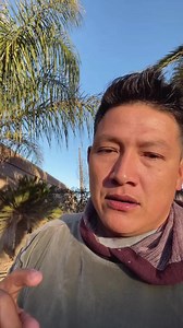 25K views · 326 reactions | #garden #gardening #nature #flowers #plants #flower #photography #naturephotography #gardendesign #green #love #gardenlife #summer #landscape #gardeninspiration #flowerstagram #plant #jardin #plantsofinstagram #beautiful #spring #art #flowersofinstagram #photooftheday #home #garten #flowerphotography #gardens #gardener #naturelovers | Alducin | Facebook