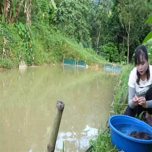 92K views · 2.5K reactions | #harvesting #bushcraft #building #farmlife #outdoorlife #cabinLife #forest | Kayden Valencia | Facebook