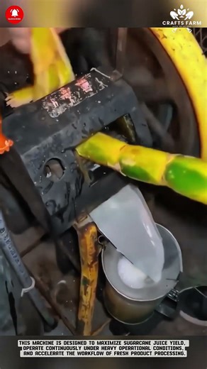 Sugar Cane Extraction Machine Performance: Increased Milling Capacity