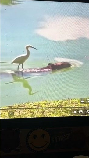 Together we stand, divided we fall cmon ppl let’s get on the ball and work together