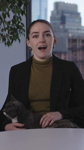 Human litter box. #MiniMocks #litterbox #officelife