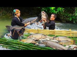 Wild Fish Trap Adventure | Dwarf Family Catches Plenty of Giant Fish to Sell Locally