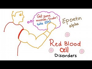 Erythropoietin (EPO) & Red Blood Cells (RBCs) - Oxygenation - Endurance - Exercise