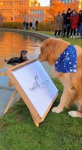Street Dog Amazes Crowd with Otter Sketch