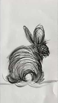 How to Create Stunning Rabbit Line Pen Drawings