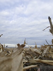 133K views · 1.8K reactions | #duckhunting #duck #waterfowl | Quill Creek World Championship Calls | Facebook
