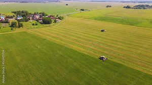 Agricultural machinery is harvesting in the field, aerial view. Harvesting, hay, fodder, silage for animal or livestock feed is in progress. Agriculture business concept. Russia. UHD 4K.