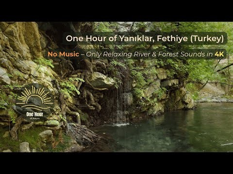 Mountain Spring Water Flow – Pure Nature Sounds for Relaxation (No Music, 4K)