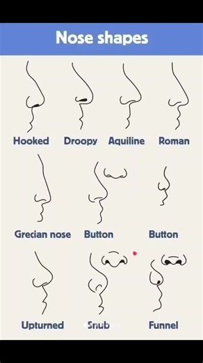 Beautiful Funnel Nose Shapes: Trends and Contouring Tips