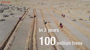 4.6K views · 25 shares | China’s #tree planting mini-program...