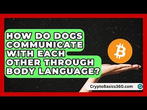 How Do Dogs Communicate With Each Other Through Body Language? | Obedient Dog Guide
