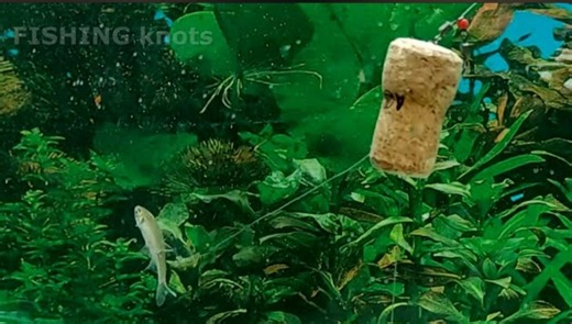 Do-it-yourself installation of catchy equipment for pike perch (pike perch for live bait) . #fblifestyle | Mumu Kitchen