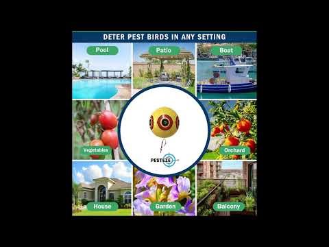 PESTEZE® Predator-Eye Balloon Bird Repellent [Humane Pool & Yard Protection]