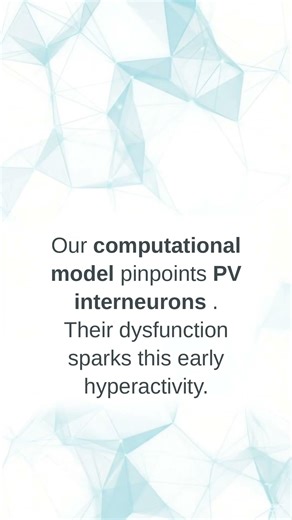 Alzheimer's Brain Mystery SOLVED? Two Phases Revealed! #AD #BrainHealth #Neuroscience