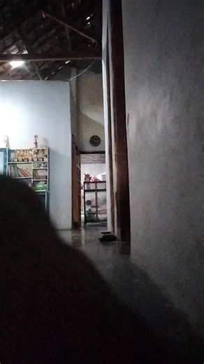 Mokhammad Dandi Setiawan - Profile Overview