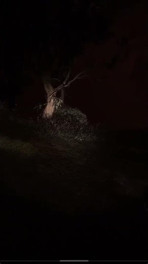 Tremendo susto | slendytubbies ø #shorts #horror