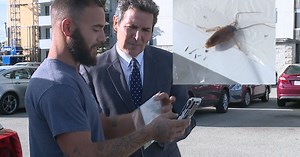 North Olmsted tenants add bug complaints to list of issues at Westbury Apartments